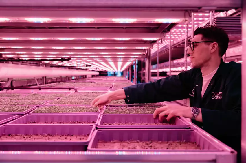 Corner Corner , 3 amazing event spaces